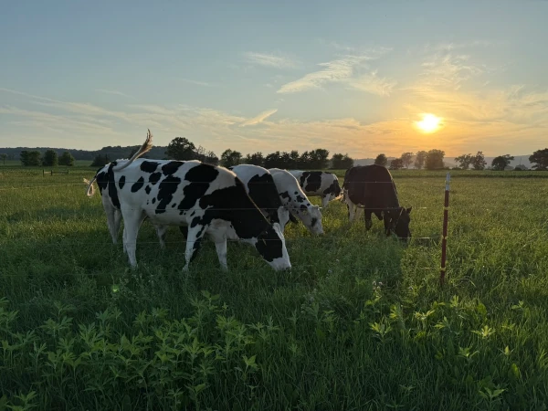 Farm Jobs & Agricultural Employment | FarmHired